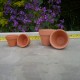 Plant Pots - 2.5cm to 11cm diameter - Terracotta World