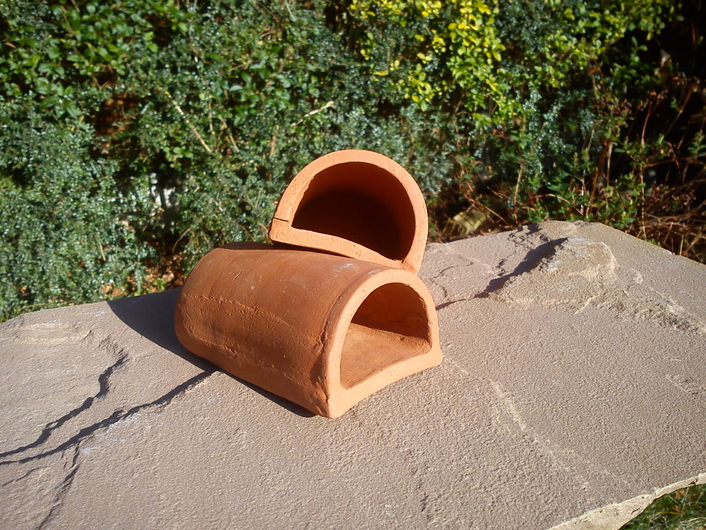 Small Arched Fish Cave - Terracotta World