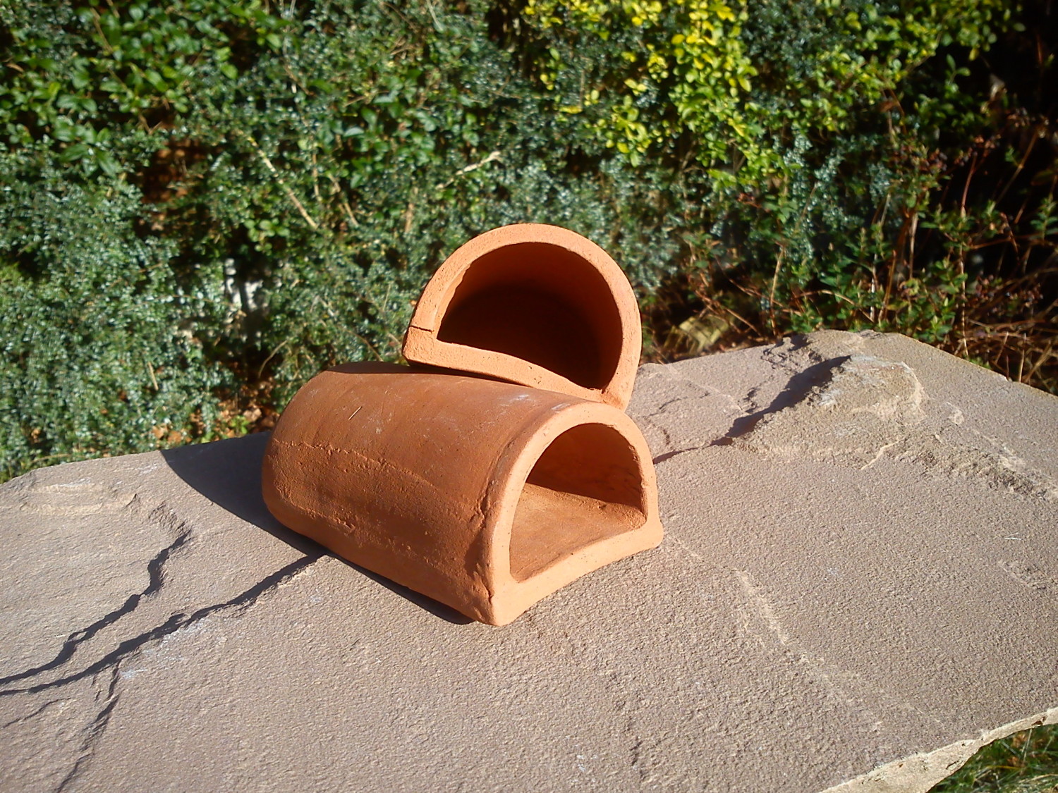 Small Arched Fish Cave - Terracotta World