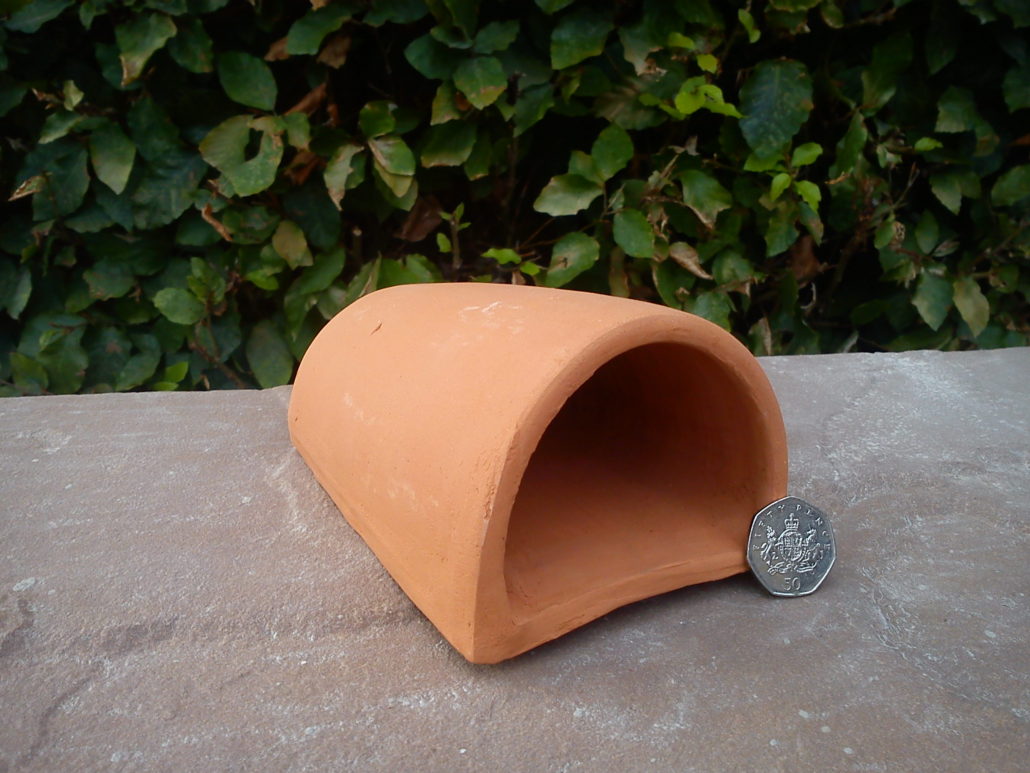 Large Arched Fish Cave - Terracotta World