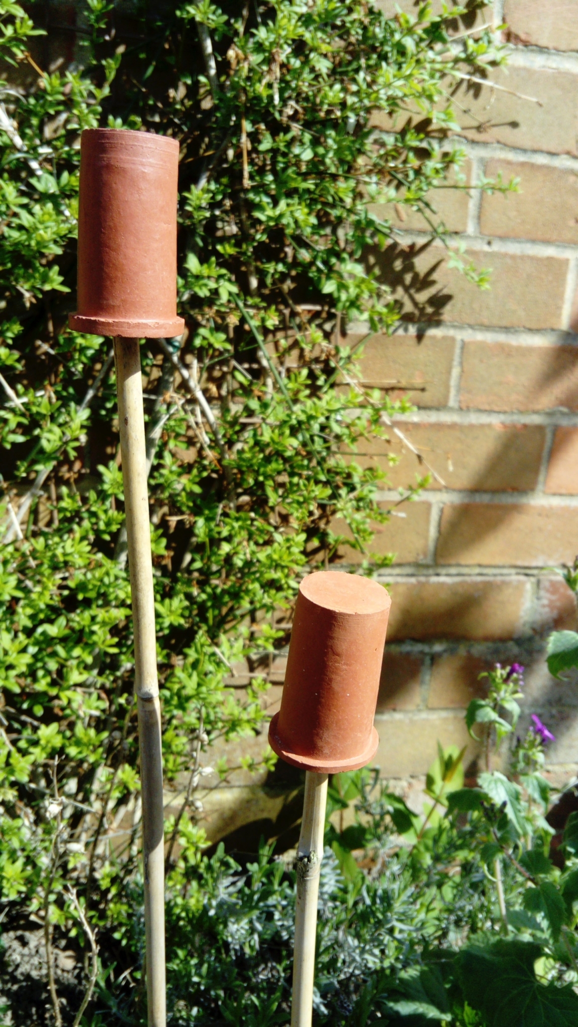 Terracotta Cane Toppers x 10 (Seconds) - Terracotta World