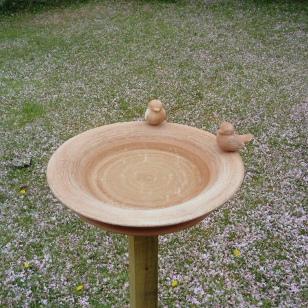 Garden Products Archives - Terracotta World