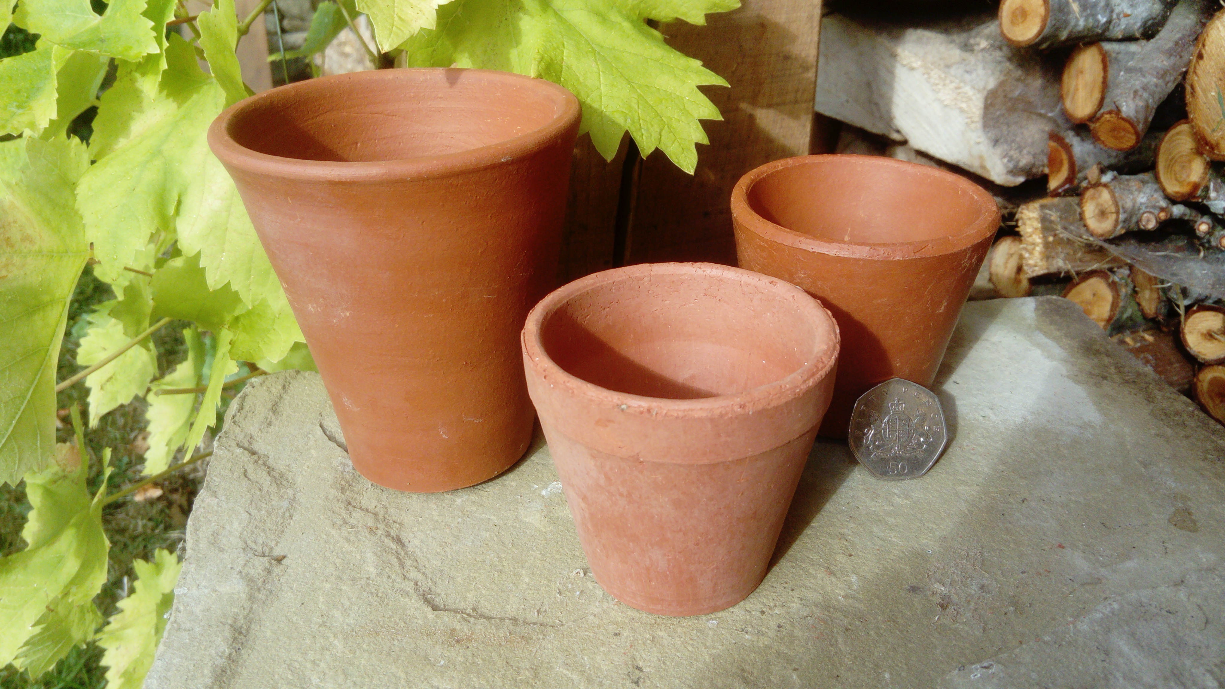 Seedling Pot (x10) - Terracotta World