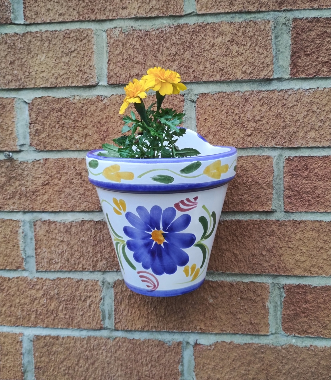Terracotta Wall Pot - Terracotta World
