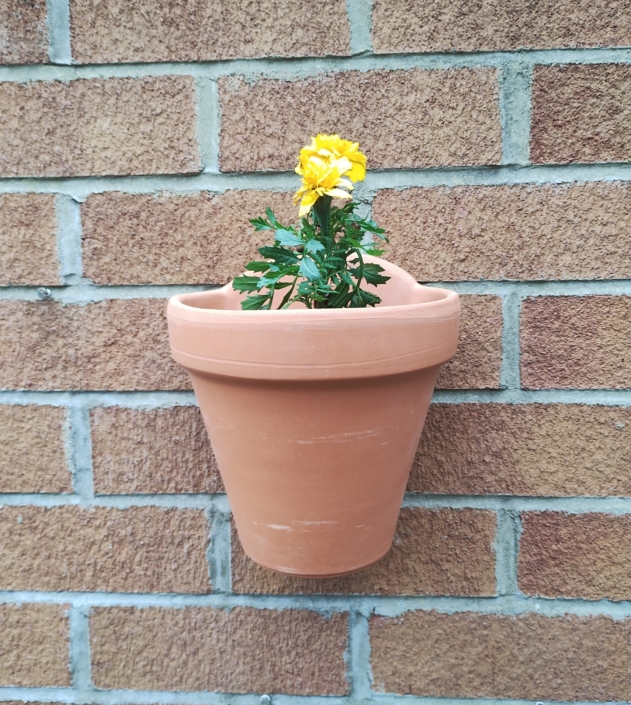 Andalusian Wall Pot - Terracotta World